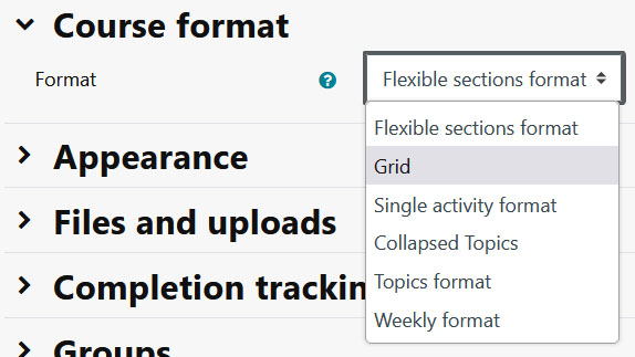Moodle: Grid format – Digital Learning Support