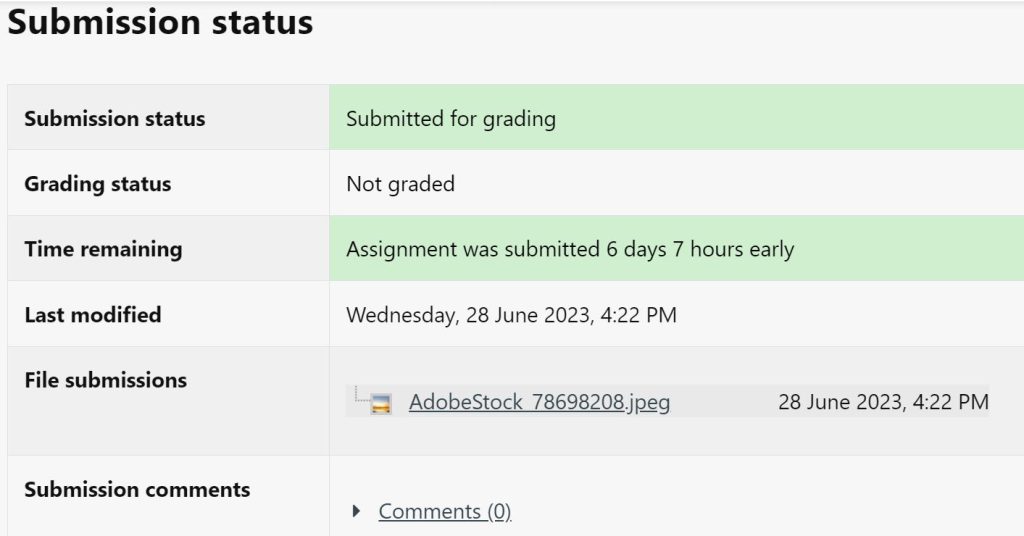 Moodle: Submitting an Assignment – Digital Learning Support